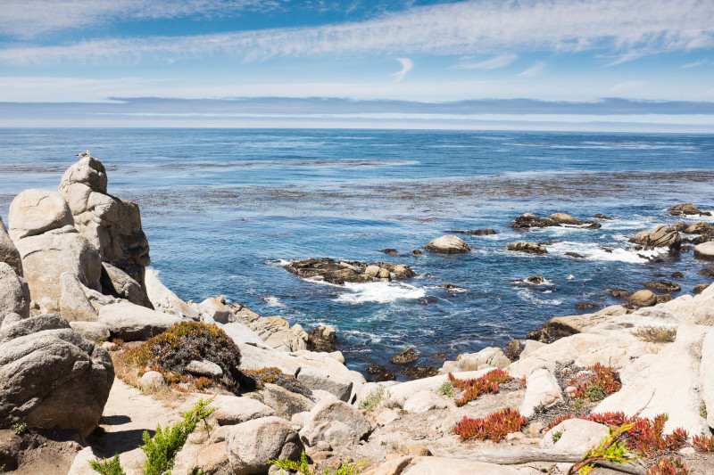 A Quick Guide to 17 Mile Drive in Pebble Beach, California | Simplicity ...